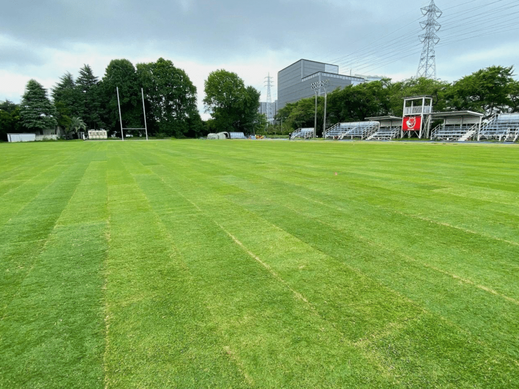 TifGrand Rugby Fields Updates - ITGAP - International Turfgrass Genetic ...